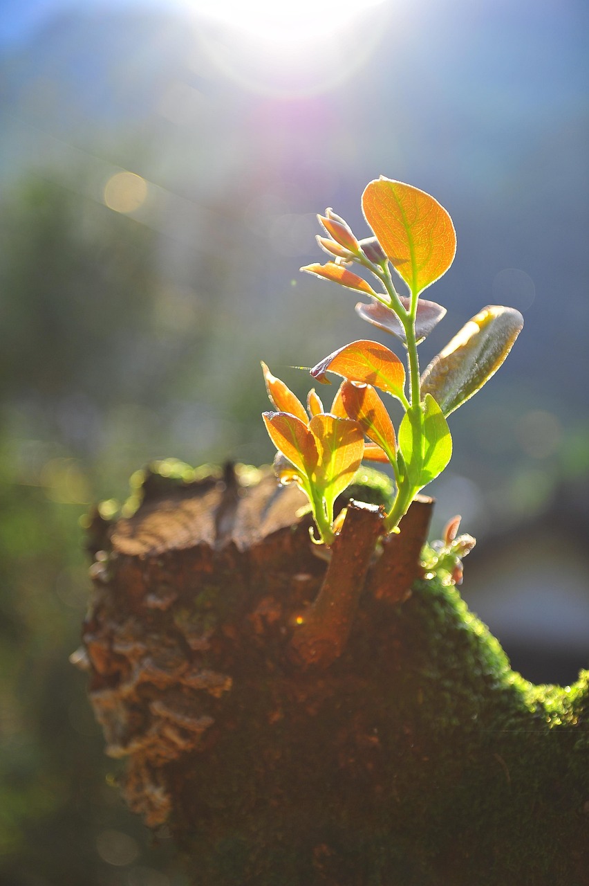 About me - Dr. Eureka Lab2Life